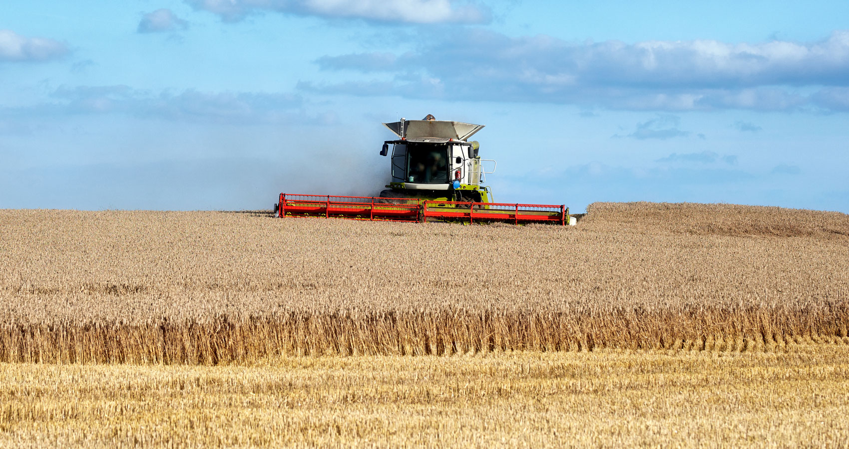 Harvest Incentive – Agroinsumos La Serrania